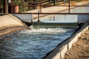 Billing and Customer Service – SSJID