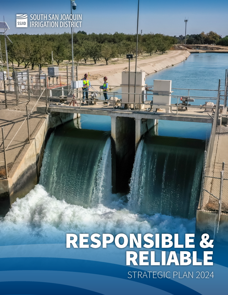 Strategic Plan – SSJID